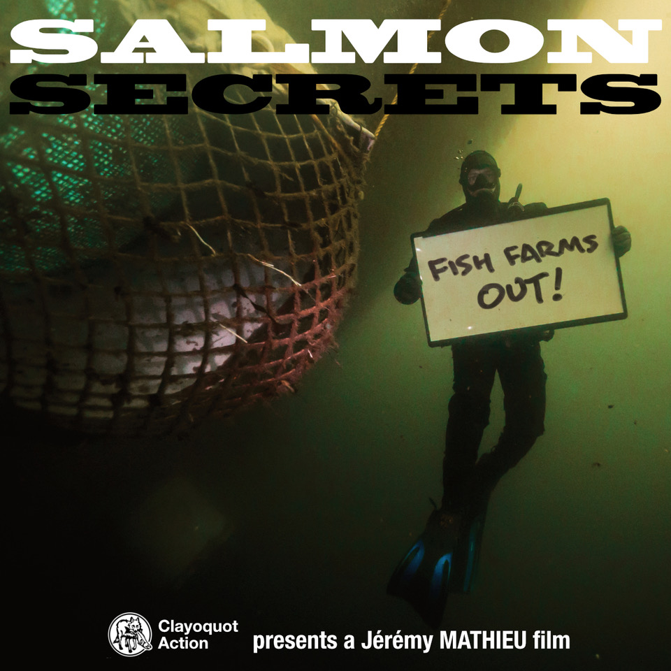 Salmon Secrets—Upcoming Screenings - Clayoquot Action